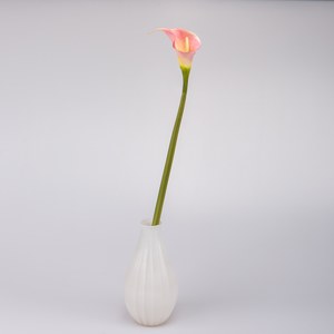 Divers, Calla Vert d'eau 69cm | Schilliger