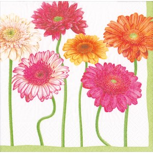 Serviettes, Caspari Serviette Cocktail Blooming daisy 25x25cm | Schilliger