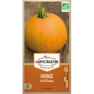 Potagers, Ferme de Sainte Marthe Courge Jack O'Lantern Environ 15 ...