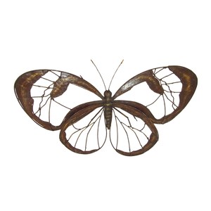 Autres animaux, Schilliger Sélection Papillon Géant 40x73x20cm | Schilliger