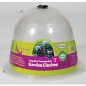 Cloches, KING SIZE VICTORIAN Cloche x2 40x31cm | Schilliger