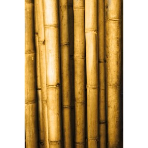 Bordures, Schilliger Sélection Bamboo sticks Bambou asiastyle 6-8 200 x ...