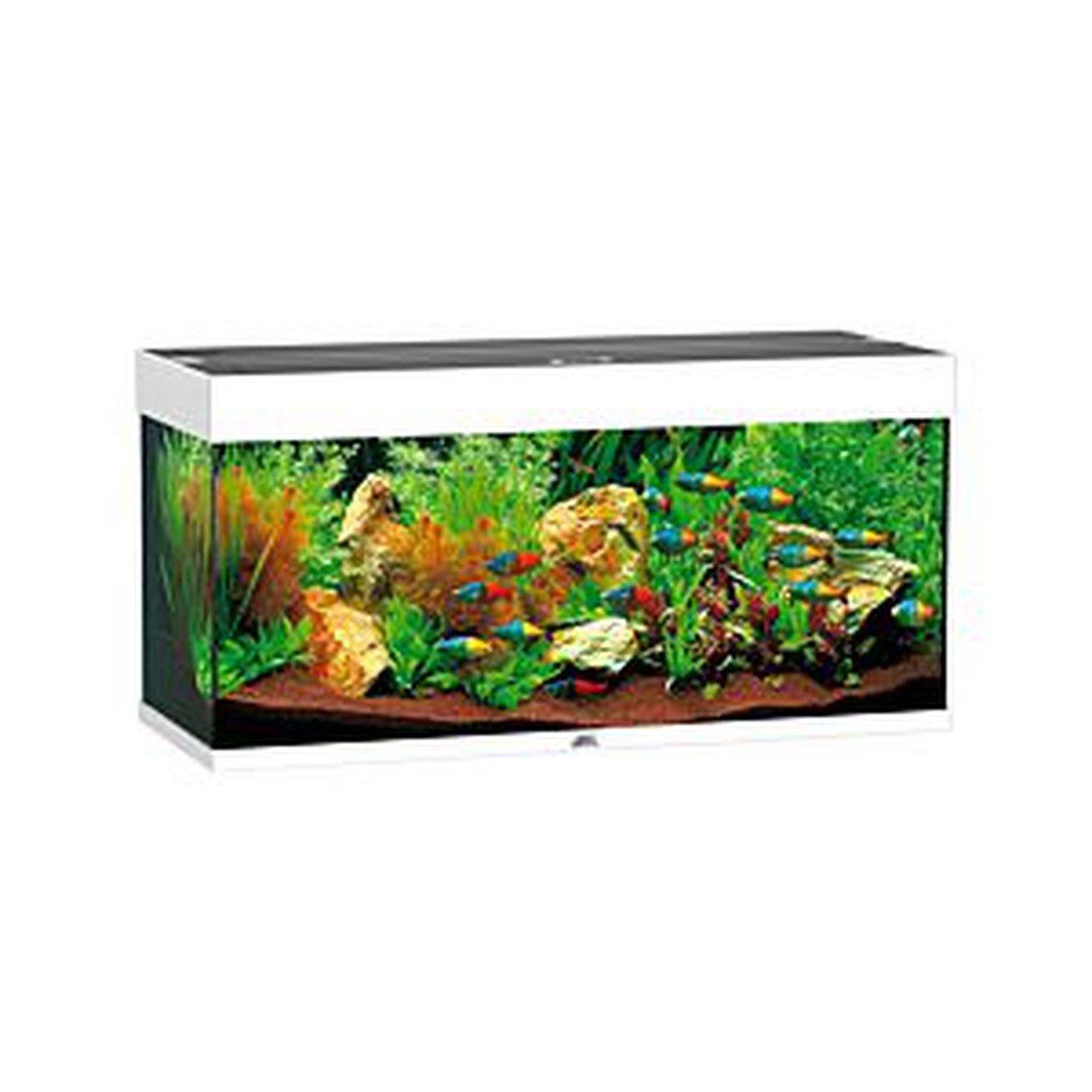 Aquariums équipés & cuves, Juwel Rio Juwel Aquarium Rio 350 blanc LED ...