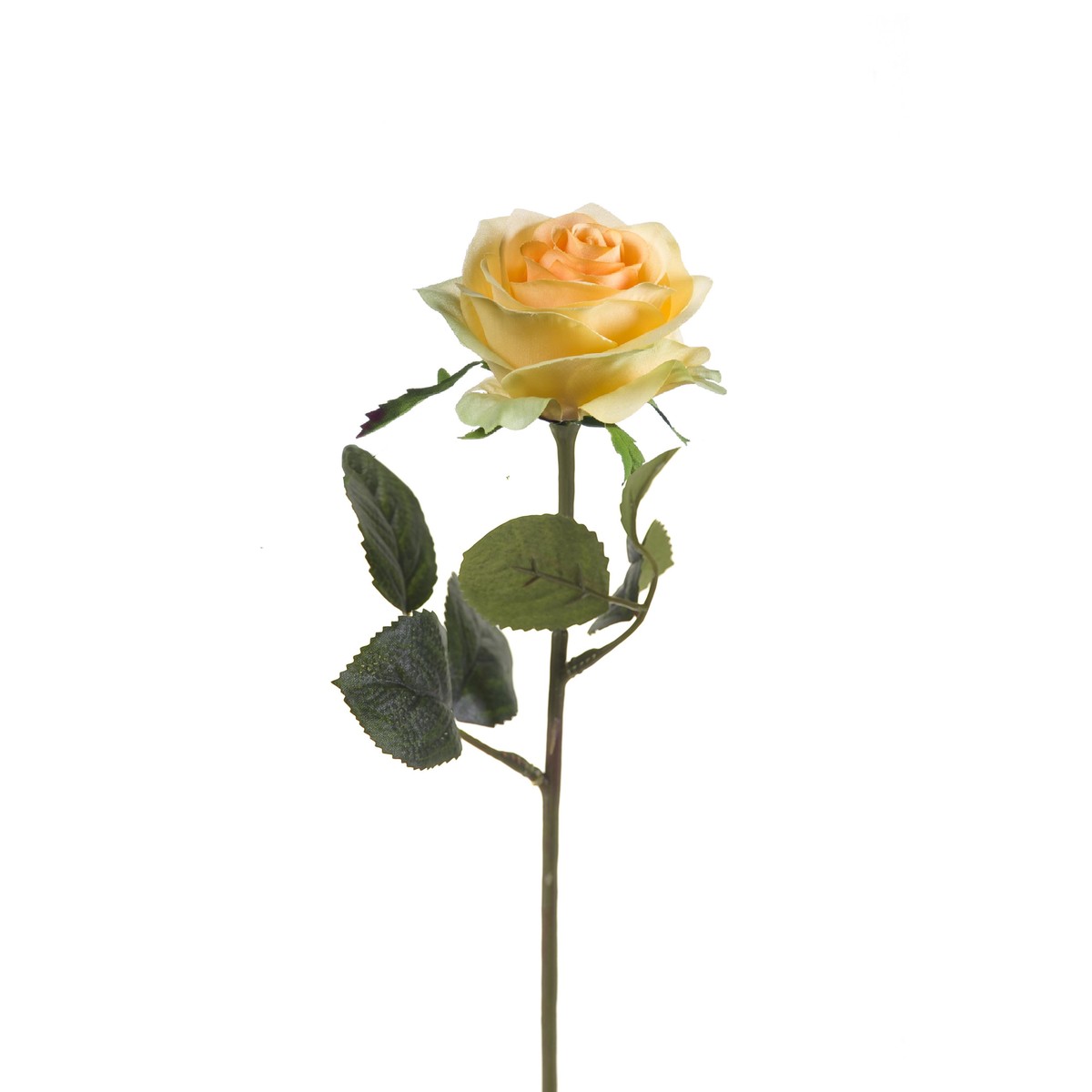 Roses, Schilliger Sélection Rose Simone en branche artificielle Jaune ...