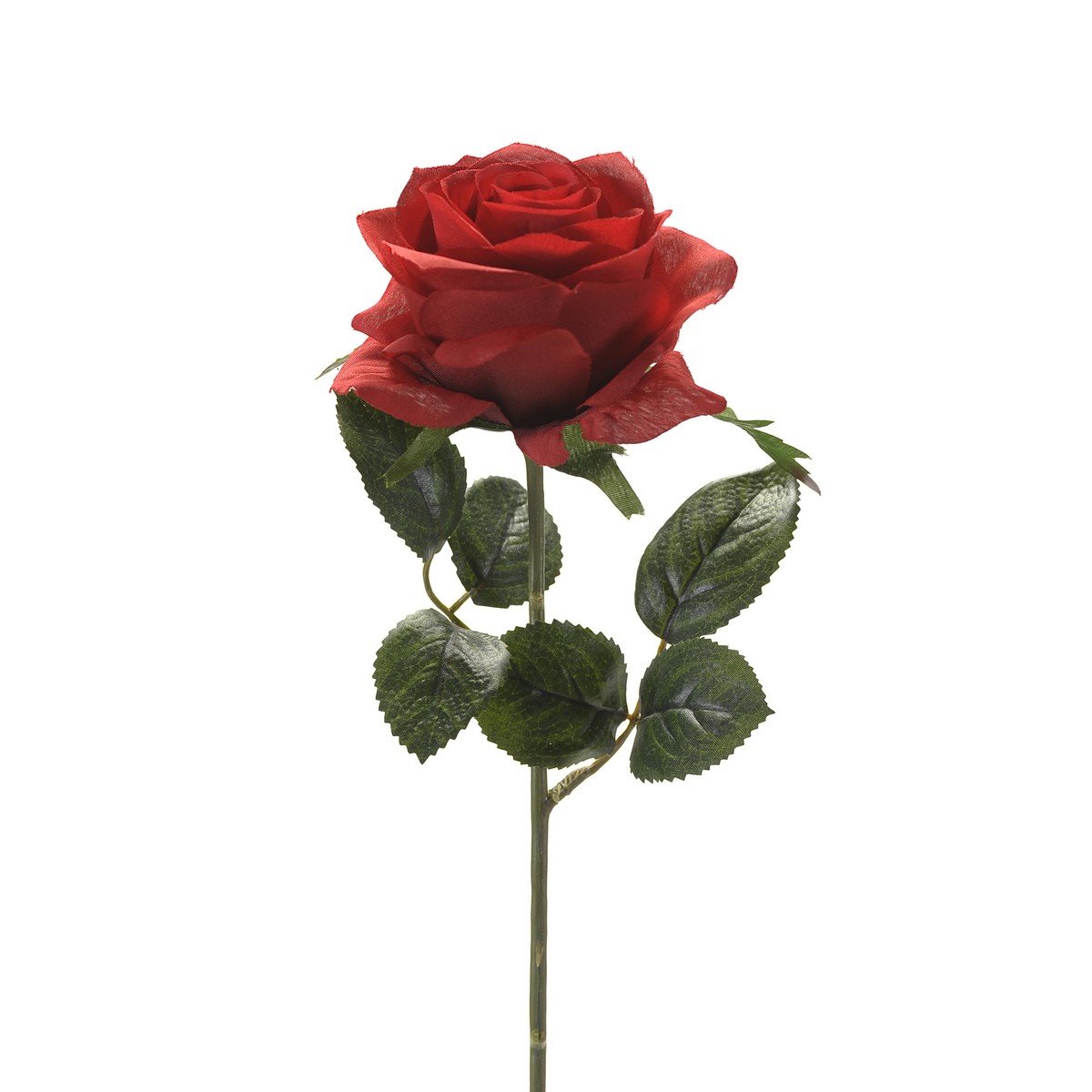 Roses, Schilliger Sélection Rose Simone en branche artificielle Rouge ...