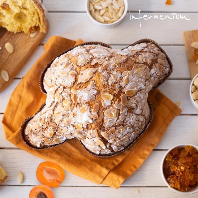 Gâteaux & desserts, Infermentum INFERMENTUM Colombe de Pâques à l ...