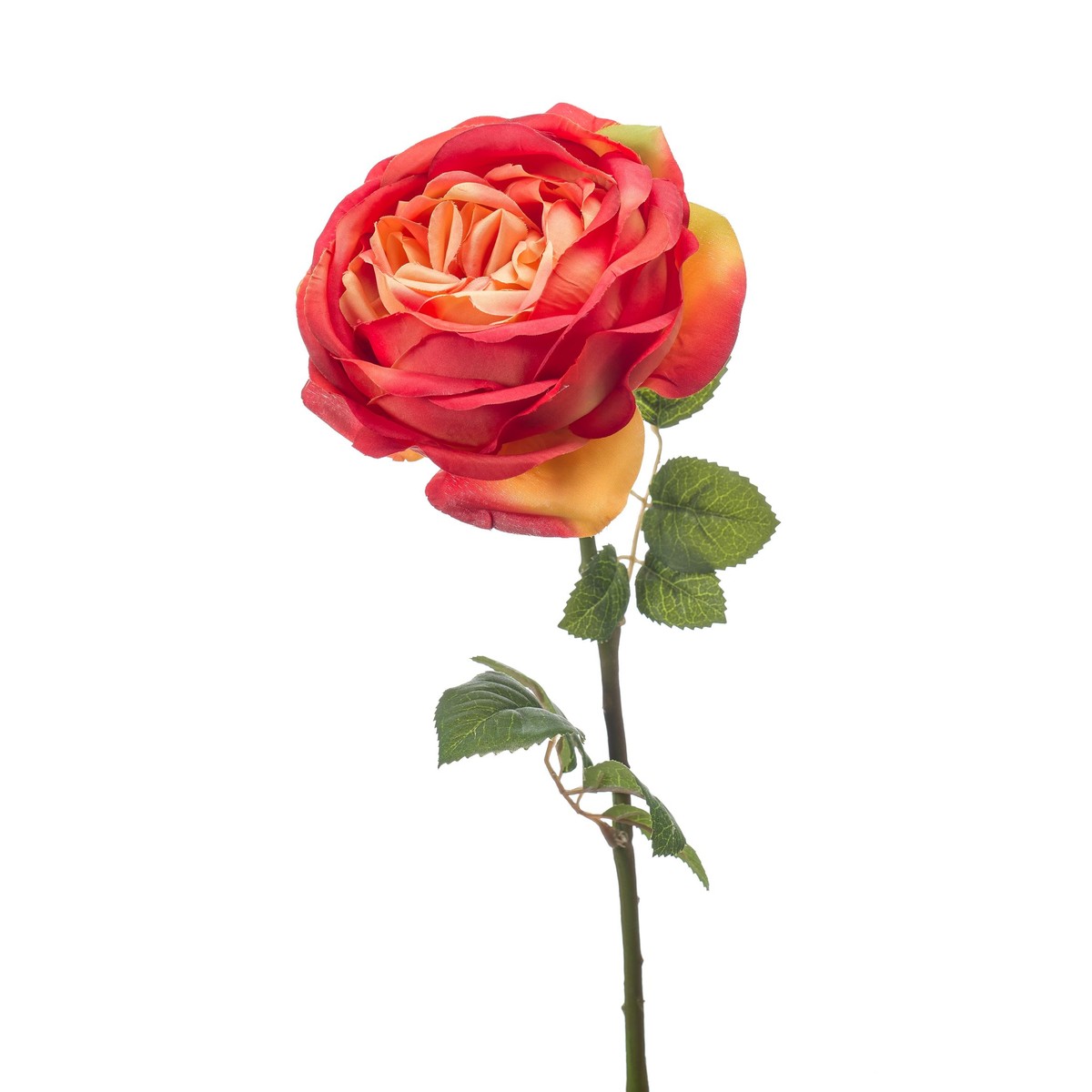 Rose, Schilliger Sélection Rose vicky artificielle Orange 66cm | Schilliger