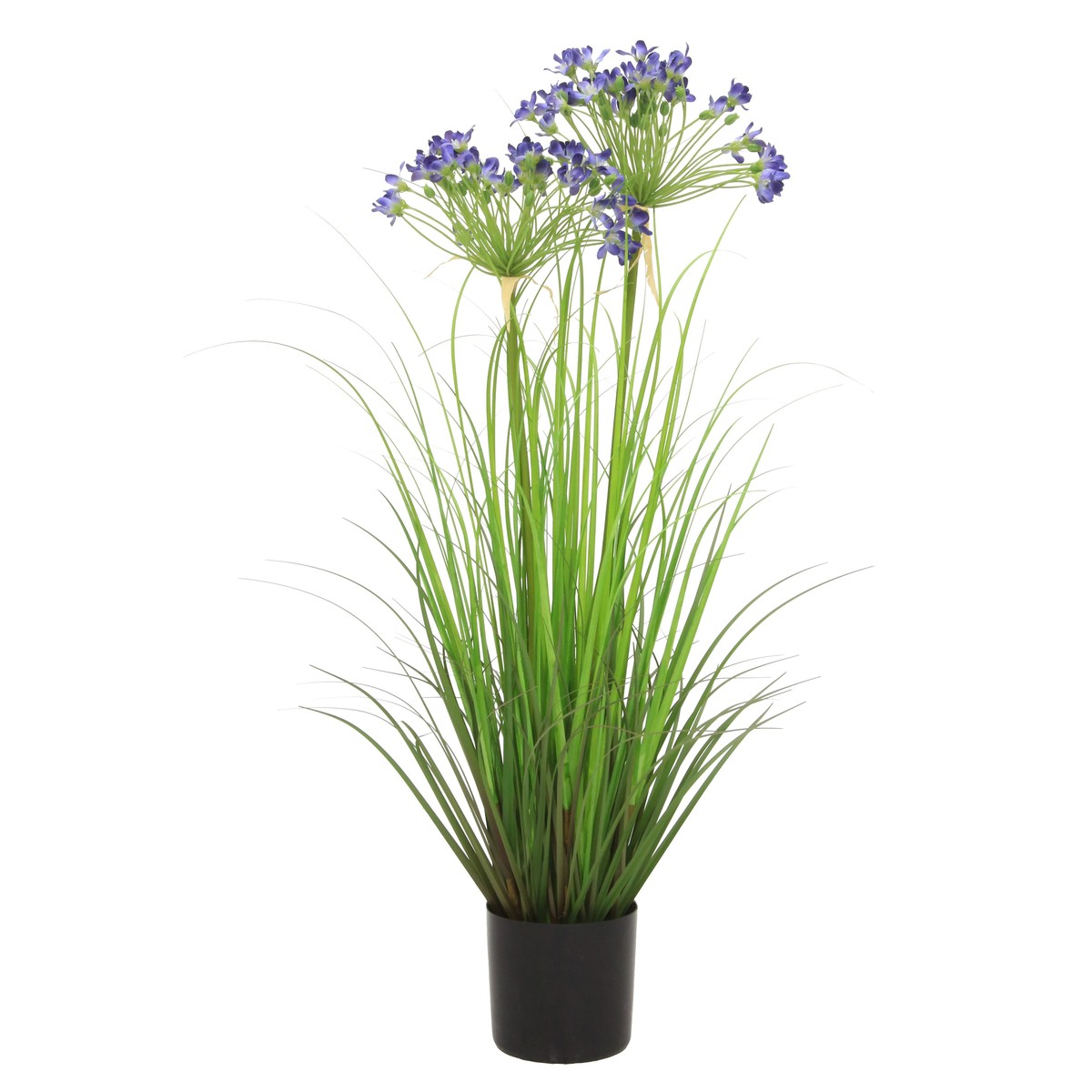 Graminées, Schilliger Sélection Graminée Agapanthus artificielle Bleu ...