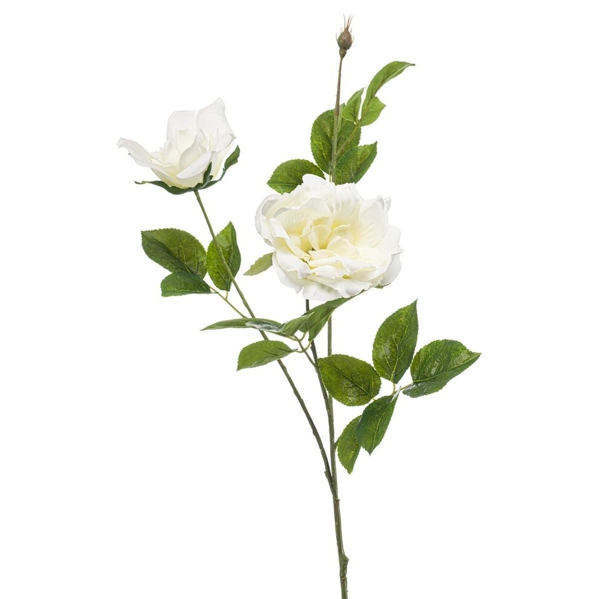 Roses, Schilliger Sélection Rose Liza en branche artificielle Blanc ...