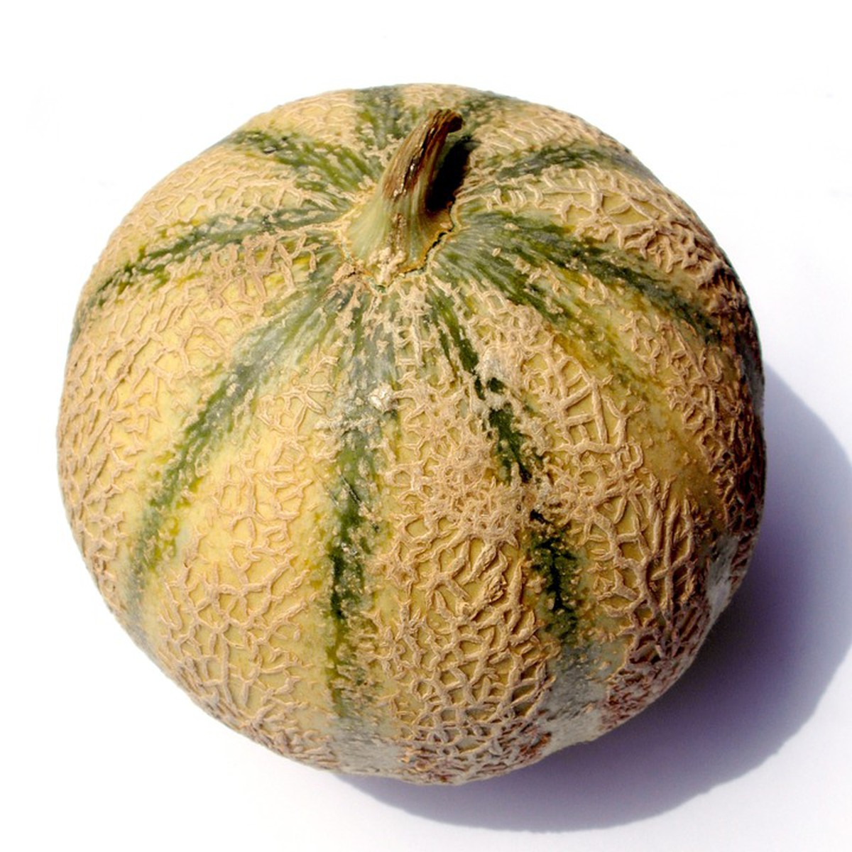 Barquettes, Schilliger Production Melon charentais Pot de 10.5 cm ...