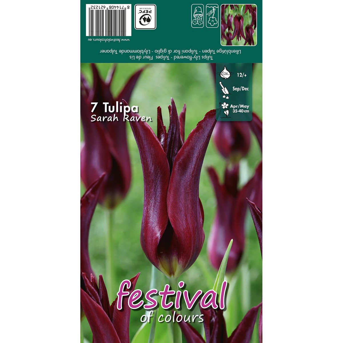 Tulipes, Tulipes 'Sarah Raven' | Schilliger