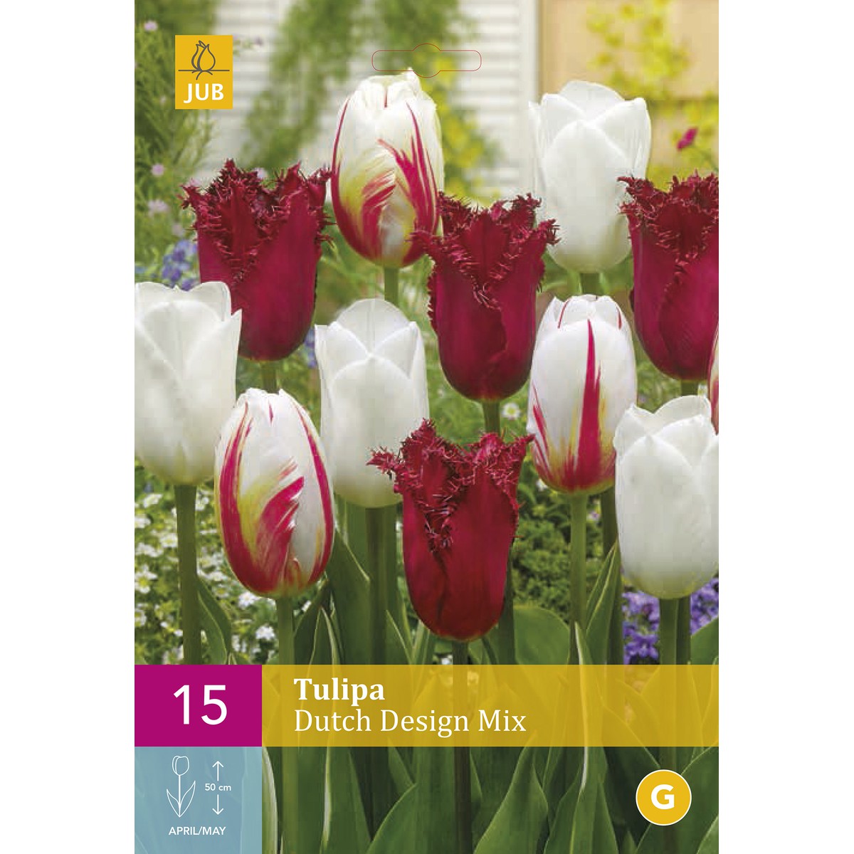 TULIPE DUTCH DESIGN MIX 15 bulbes / sachet | Schilliger