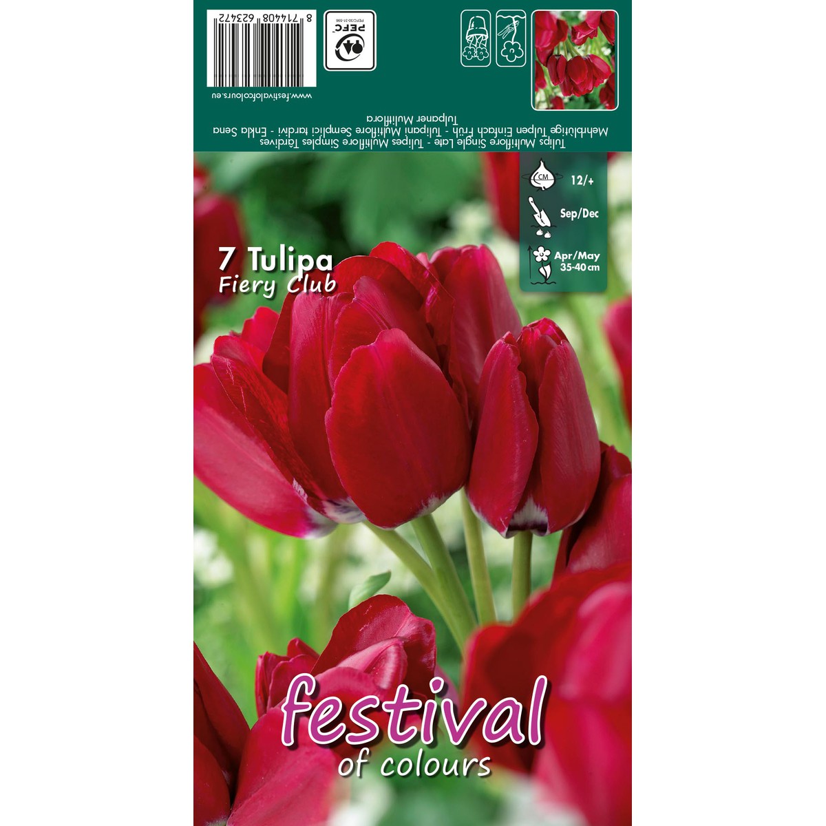 Tulipes, Tulipes 'Fiery Club' | Schilliger