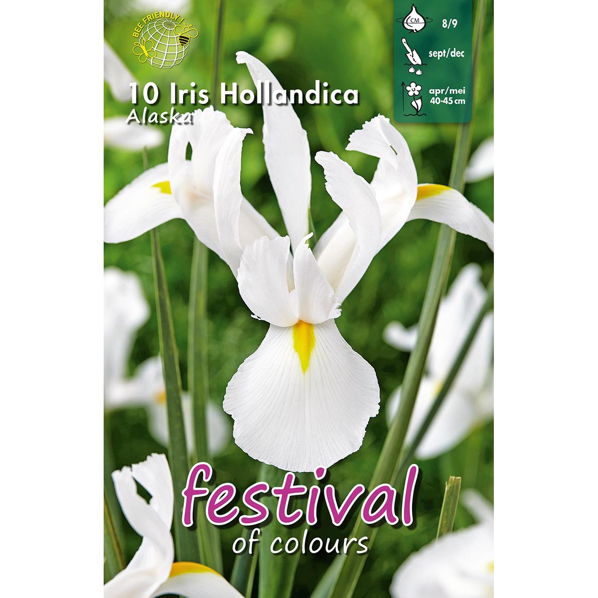 Iris, Iris 'Alaska' | Schilliger