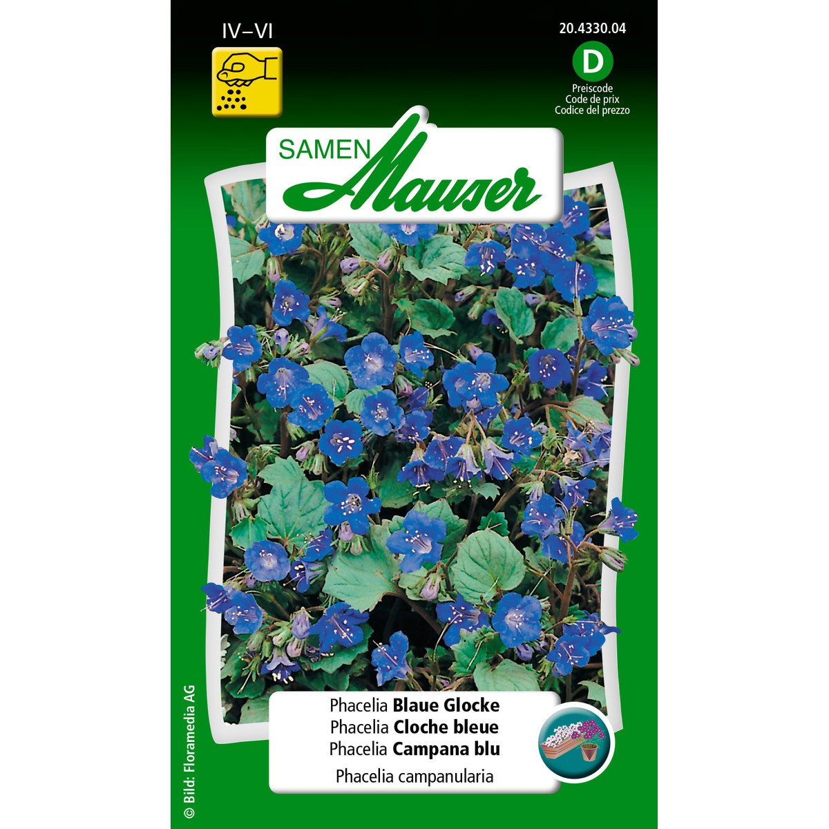 Plantes à massif, Phacelia Cloche bleue | Schilliger