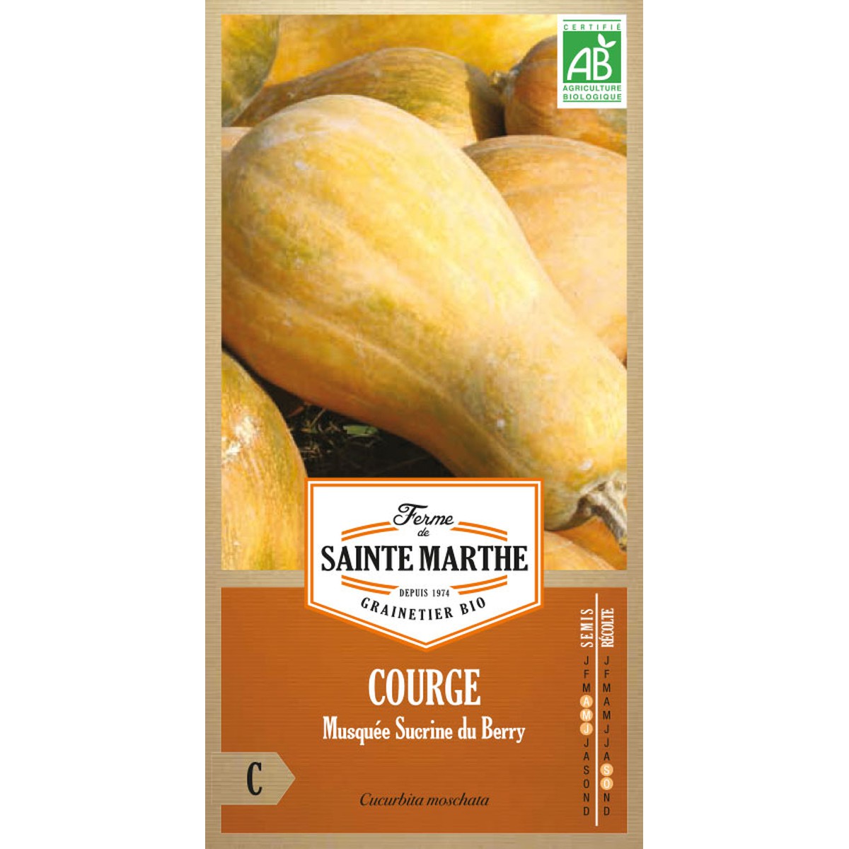 Potagers, Ferme de Sainte Marthe Courge Musquée Sucrine Du Berry ...