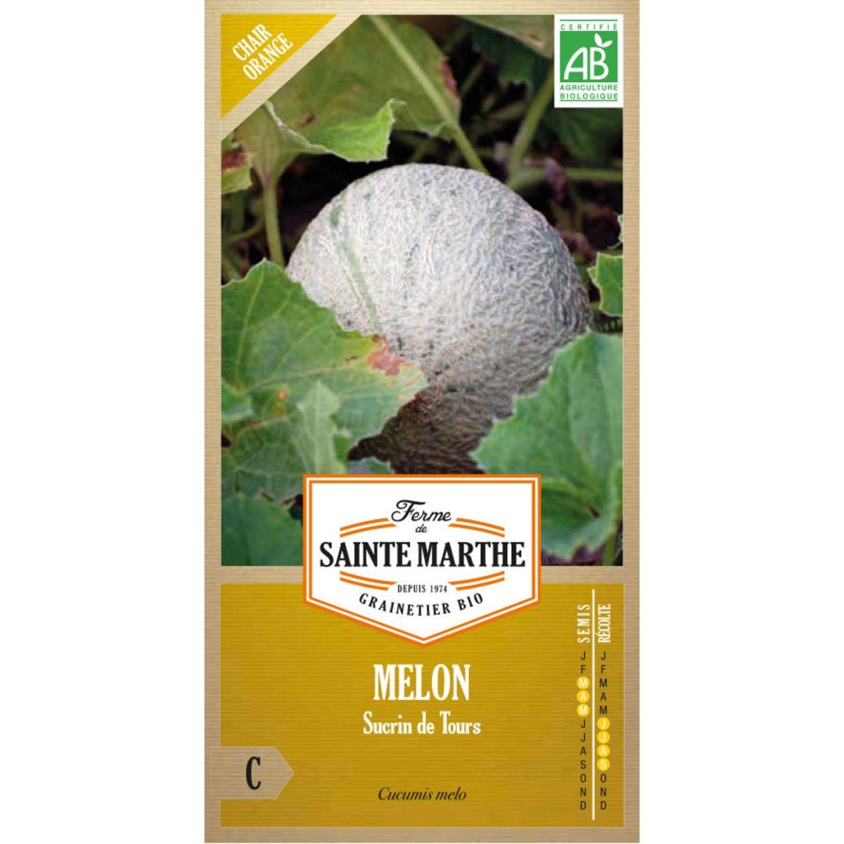 Potagers, Ferme de Sainte Marthe Melon Sucrin De Tours Environ 15 ...