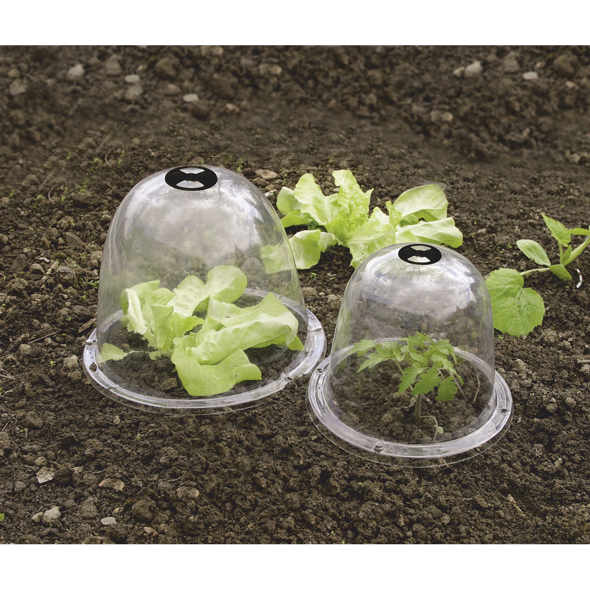 Cloche, Nortene BELL Lot 3 cloches transparentes PVC Ø 0.25m | Schilliger