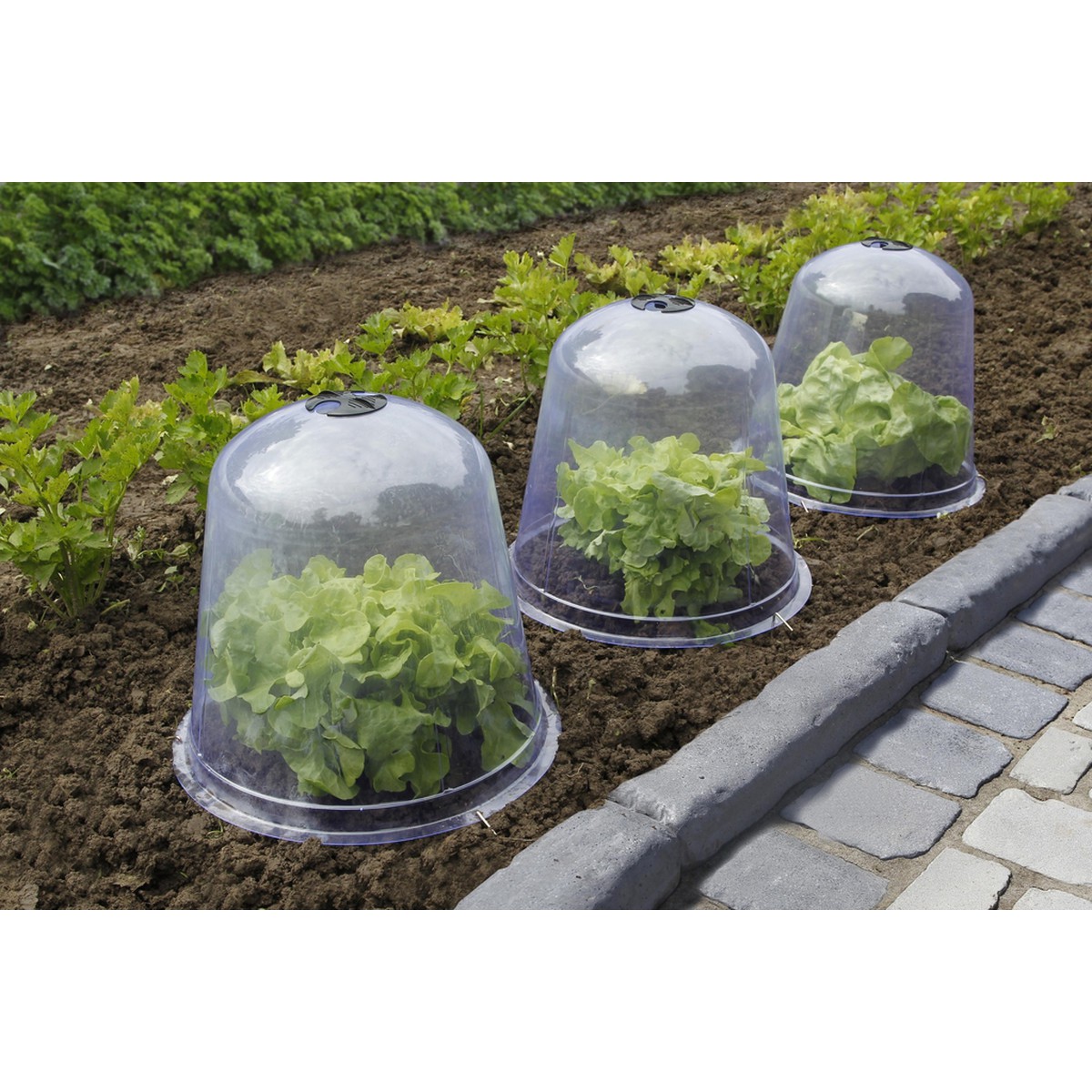 Cloche, Nortene BELL (3) Lot 3 cloches transparente PVC Ø 0.33x0.3m ...
