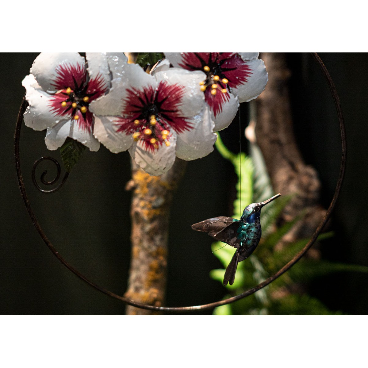 Oiseaux, Schilliger Sélection Cercle colibri hibiscus Ø55cm | Schilliger