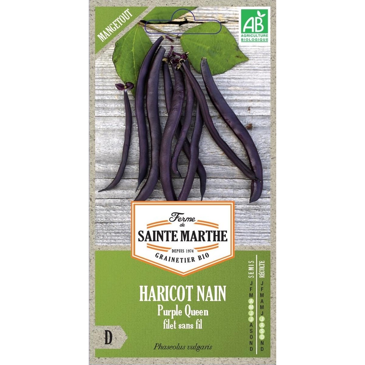 Potagers, Ferme de Sainte Marthe Haricot Nain Purple Queen Filet Sans ...