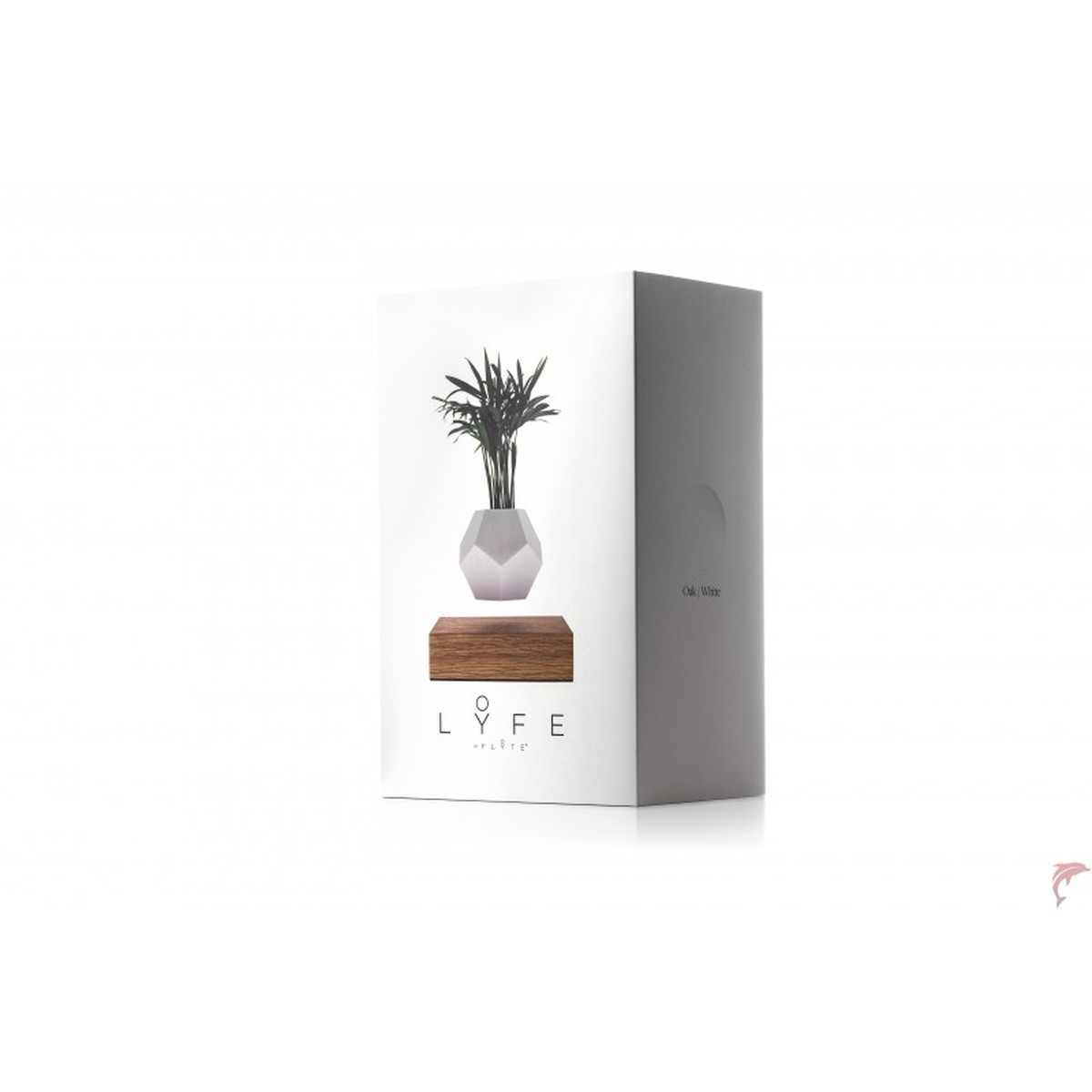 Décorations diverses, FLYTE Lyfe Planter Walnut 154x154x38m 80x100mm | Schilliger