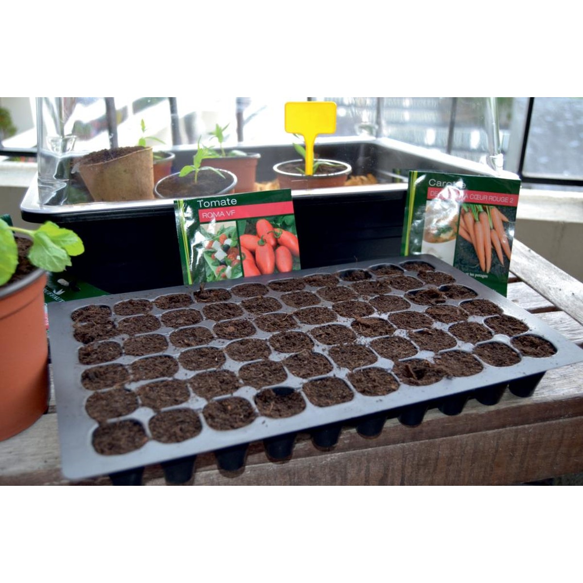Pots, Nortene PLANTING PLATE 3 plateaux en plastique de 60 cellules de ...