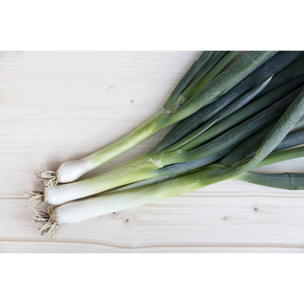 Potagers, Oignons Tige blanche (plante hivernante) | Schilliger