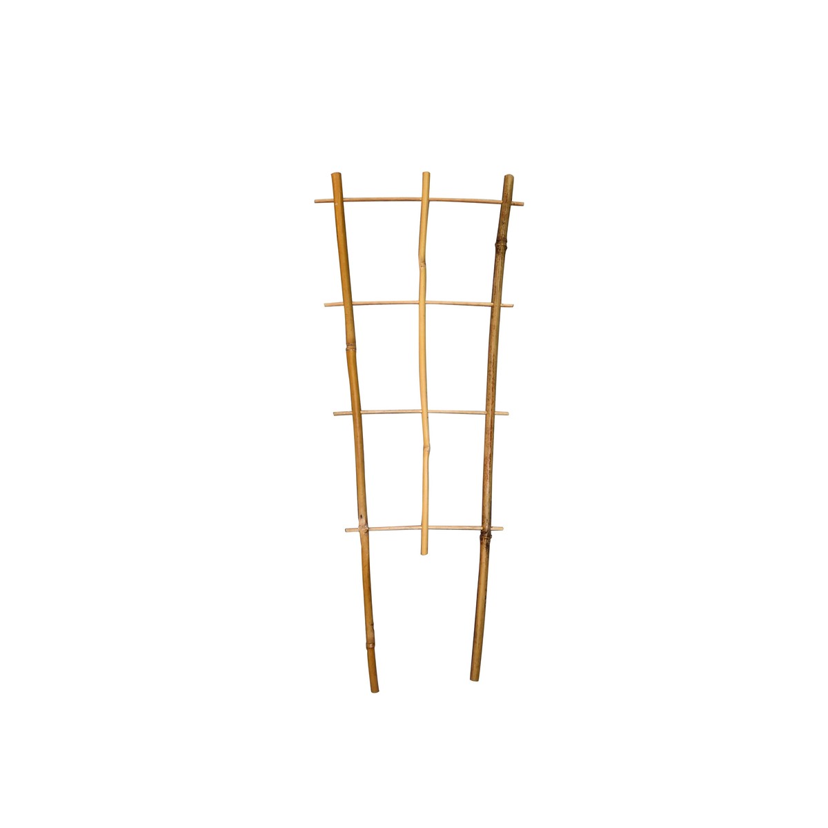 Treillis, Tuteurs Echelle Bambou Dia 8 -12 Mm X H. 35 Cm (Lot De 2) H35cm | Schilliger