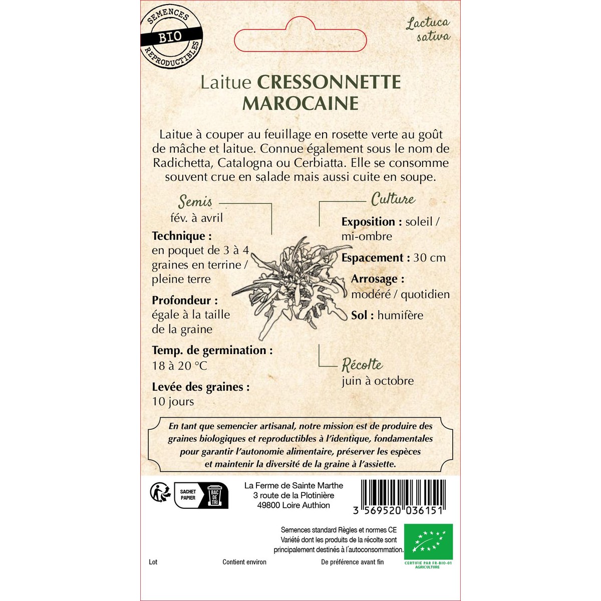 Potagers, Ferme de Sainte Marthe Laitue Cressonnette Marocaine nbr de ...